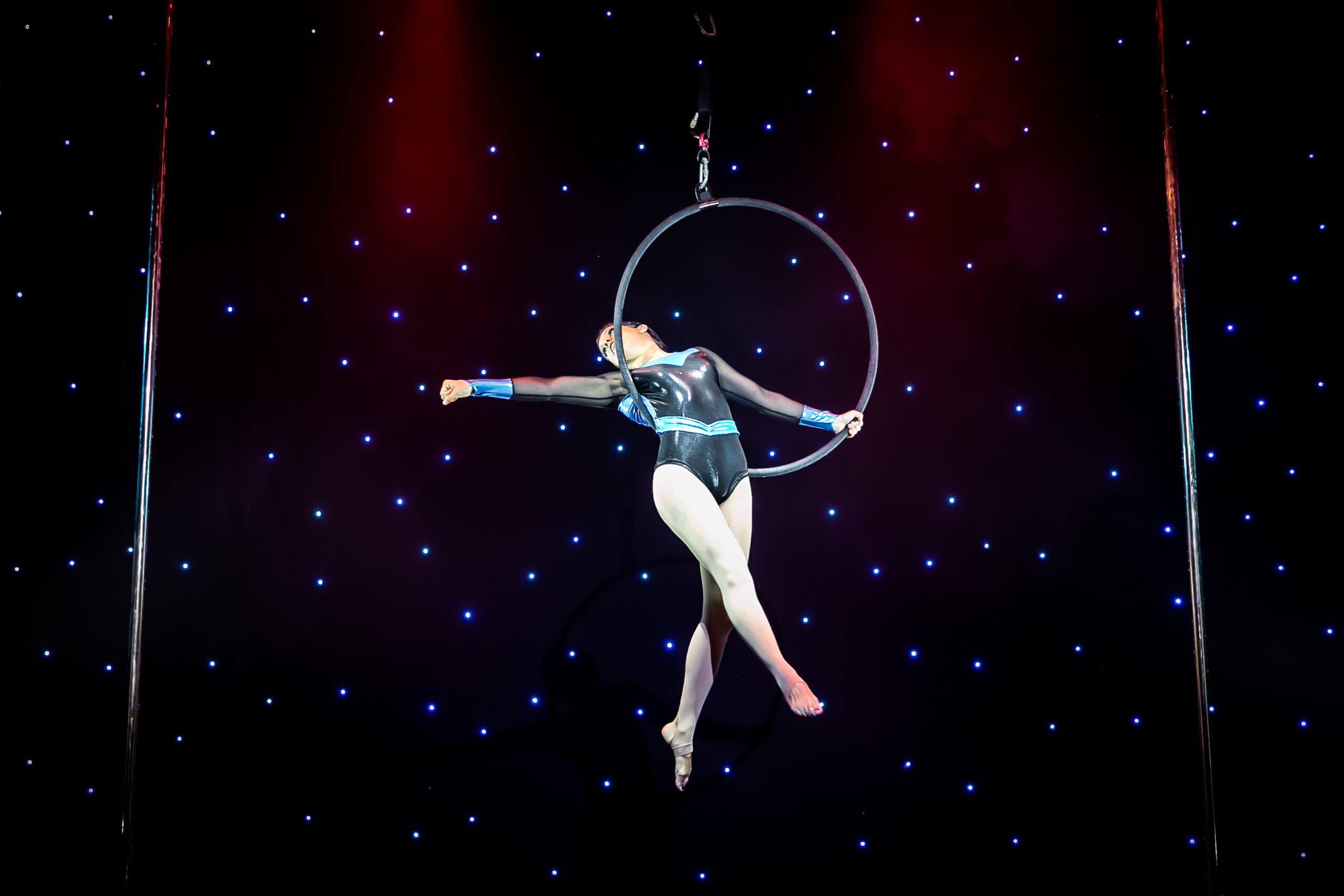 Lyra Course | Pole Fitness | Aerial Fitness - The Pole Room